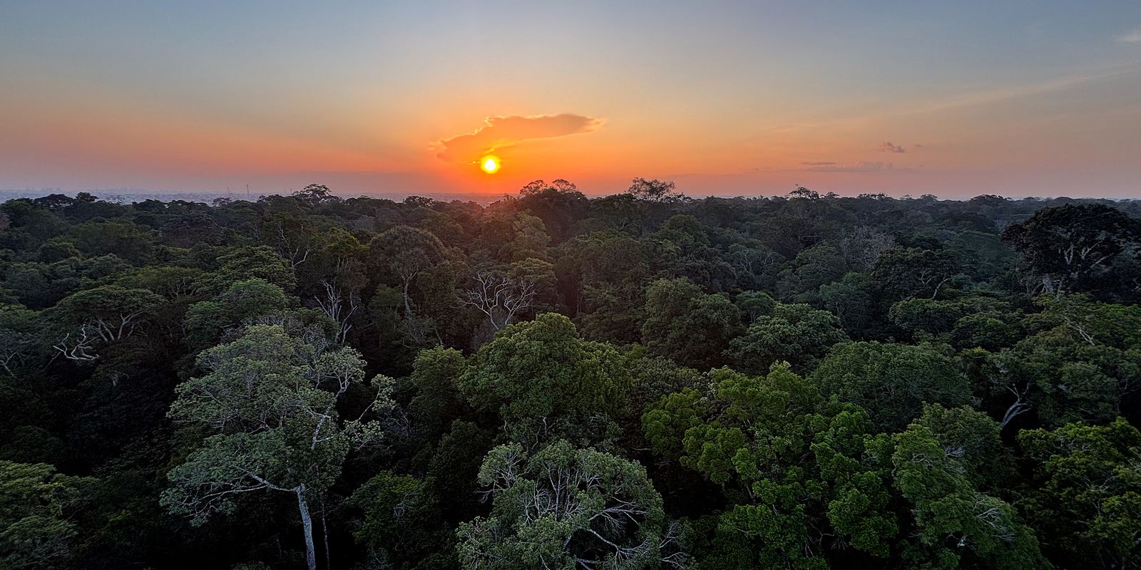 iCS lança edital com IA para projetos de clima e natureza - Globo ...